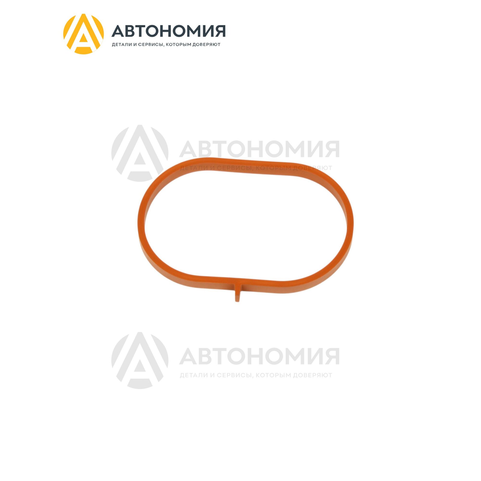 Прокладка впускного коллектора Renault 82 01 666 465