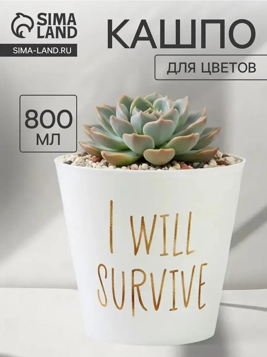 Элегантное кашпо для цветов 0,8 л
