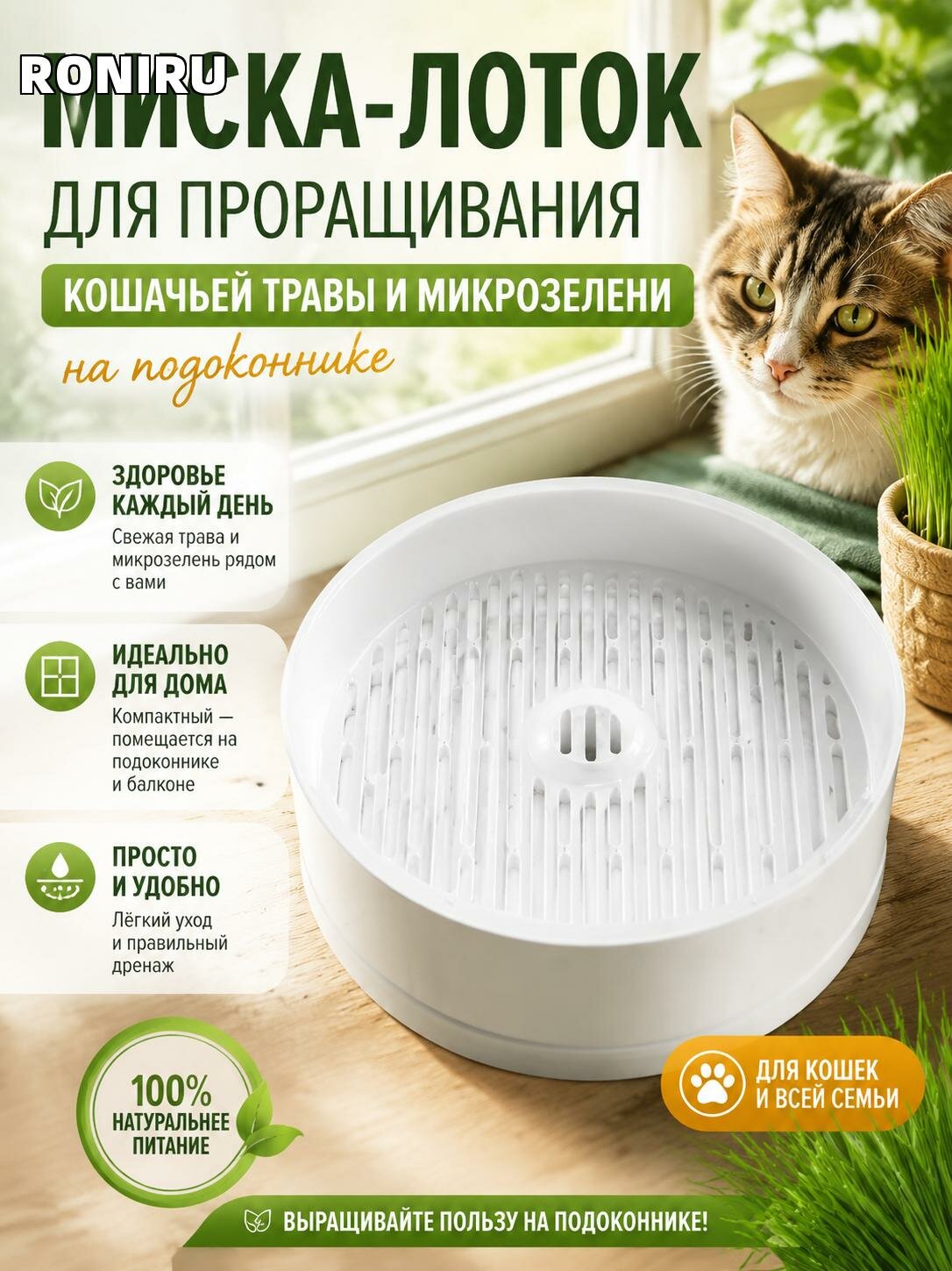 Миска-лоток для проращивания кошачьей травы и микрозелени на подоконнике — компактный дисковый дизайн для балкона