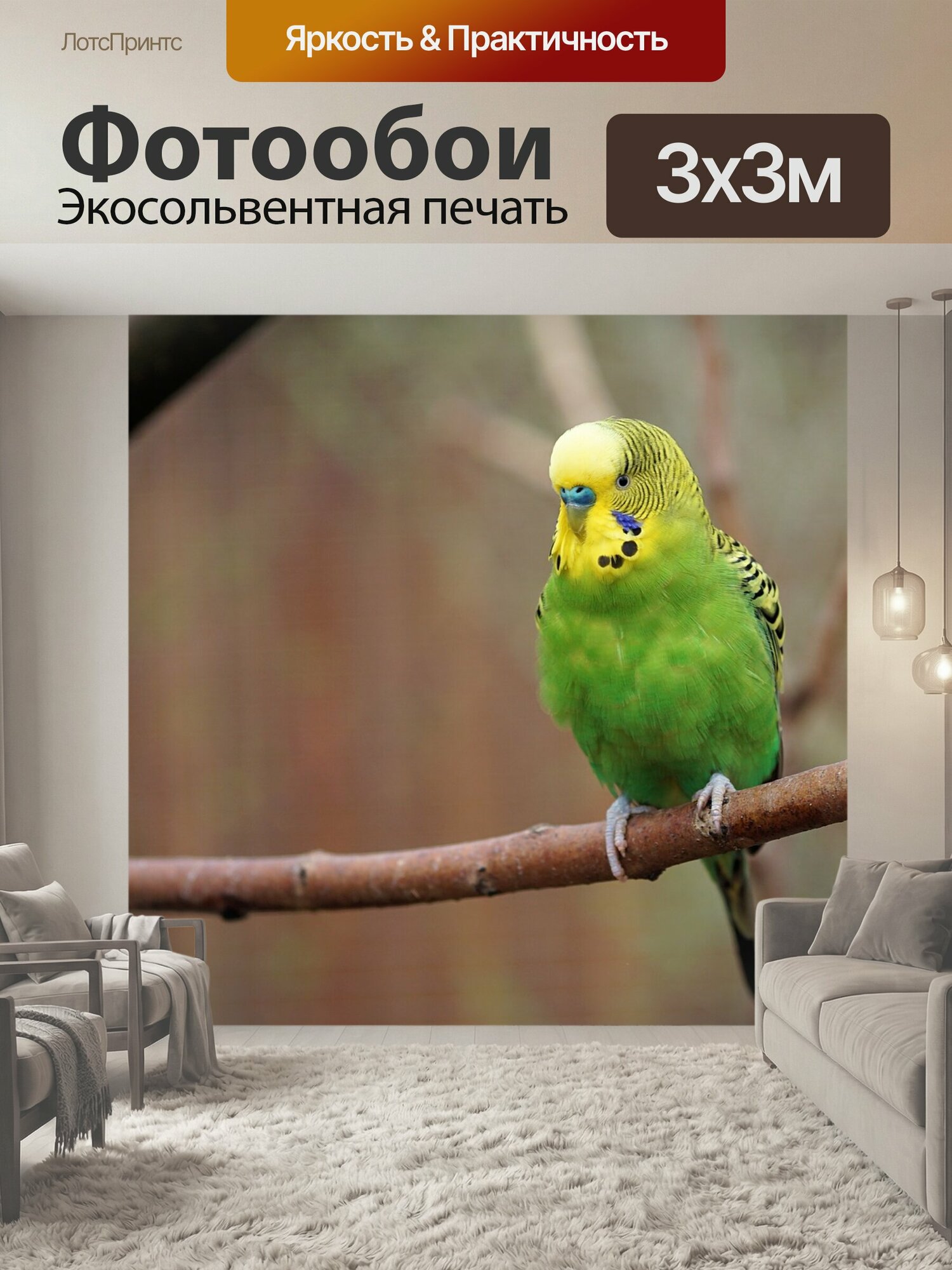 Фотообои "Волнистый попугайчик, птица, попугай" 300x300 см. экосольвентная печать