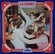 Unknown Artist - Fiesta D'Accordeon VG
