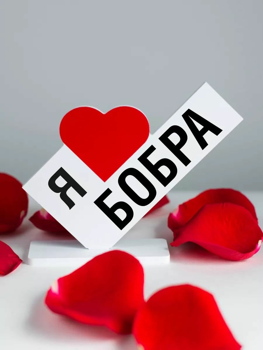Подарок себе, мини стела я люблю бобра