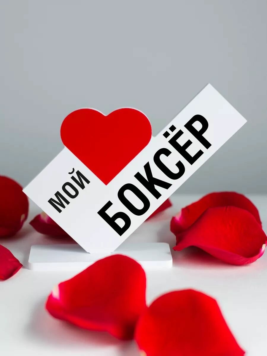 Подарок другу, открытка мой любимый боксёр