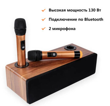 Караоке система для дома с двумя микрофонами TV-3.2, Bluetooth / 120 Вт-PENG