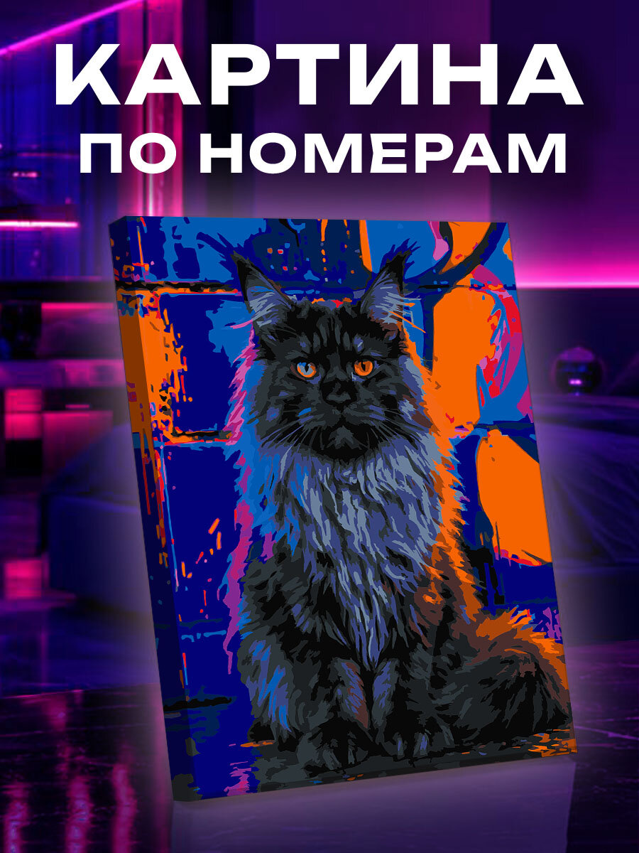 Картина по номерам Мейн-кун на фоне неонового граффити