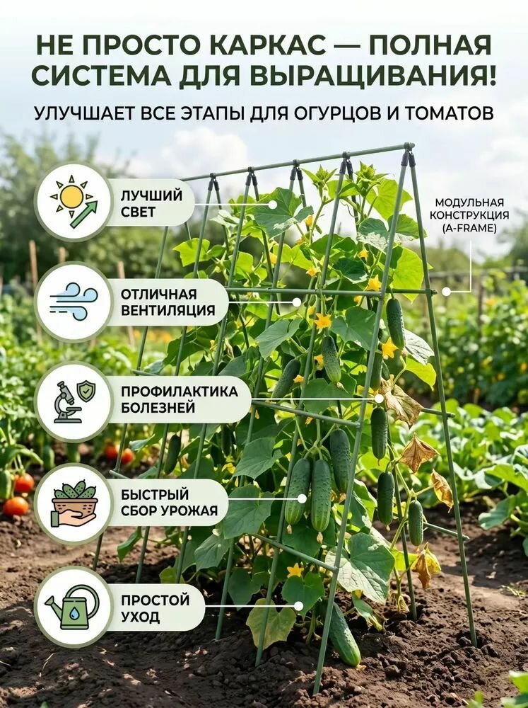 Шпалера,1.6см,31шт — фото 1