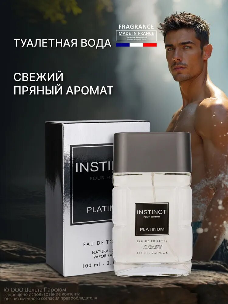 Туалетная вода мужская 100 мл, Instinct Platinum Свежий пряный древесный