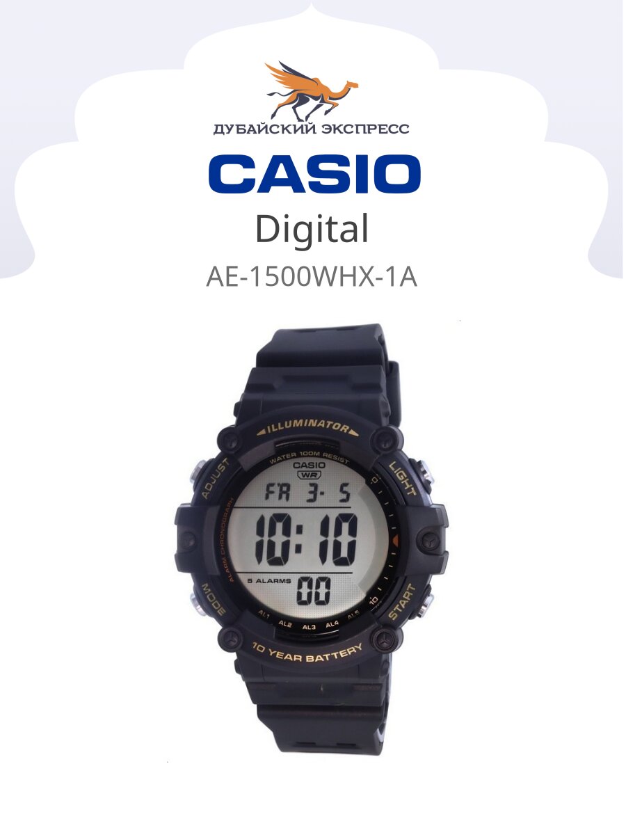  CASIO