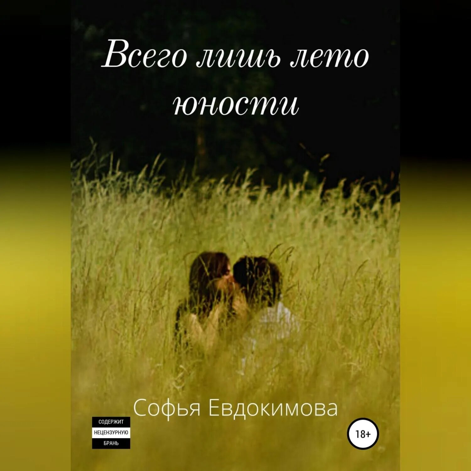 Всего лишь лето юности [Аудиокнига]