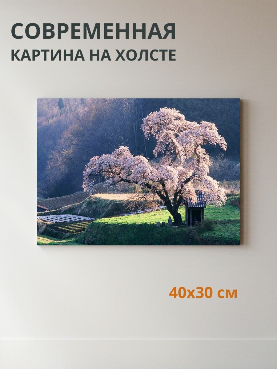 Картина на холсте Современный арт 40x30 см