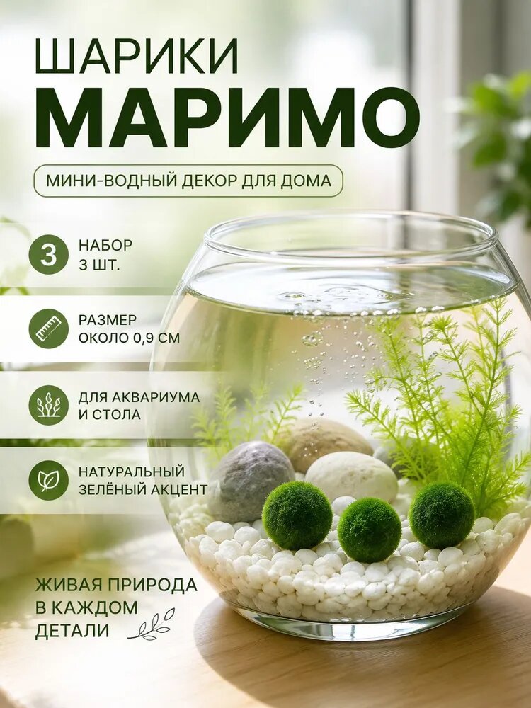 Сухоцветы, 10 гр, 3 шт