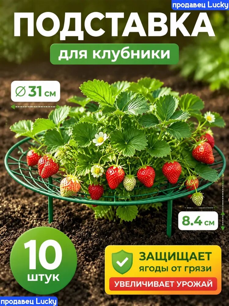 Шпалера,31см,10шт