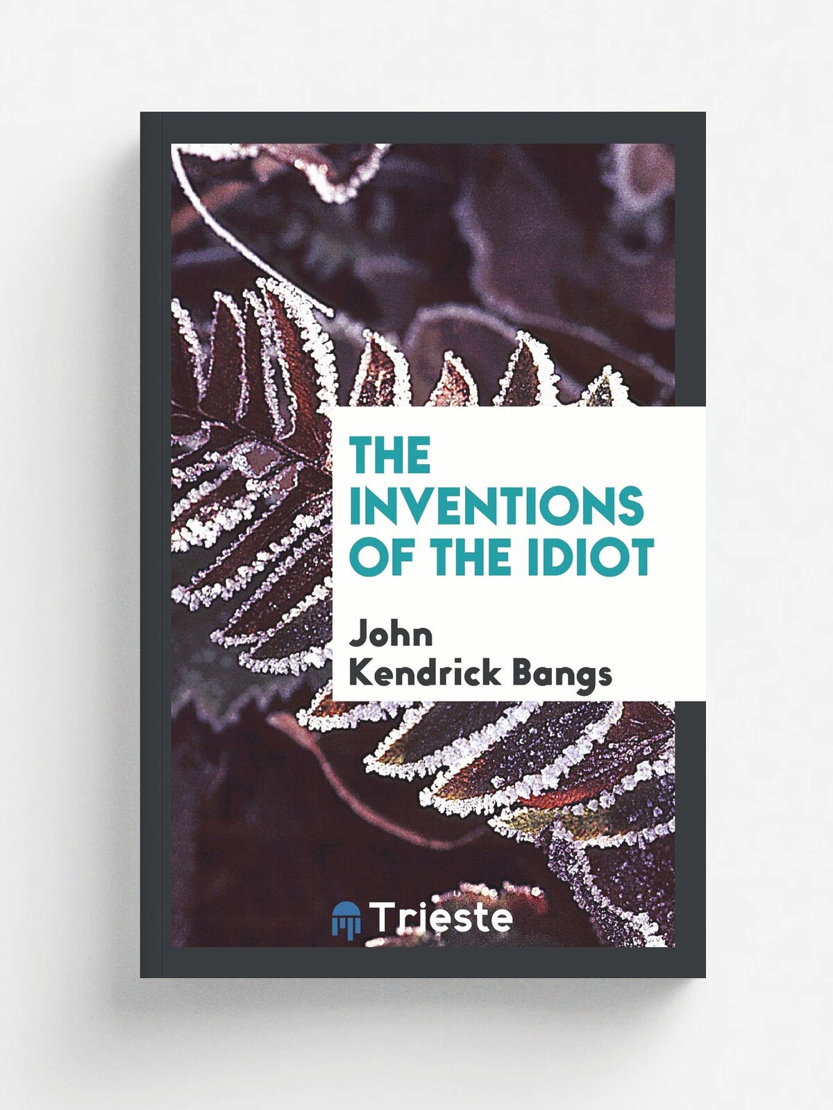 The inventions of the idiot