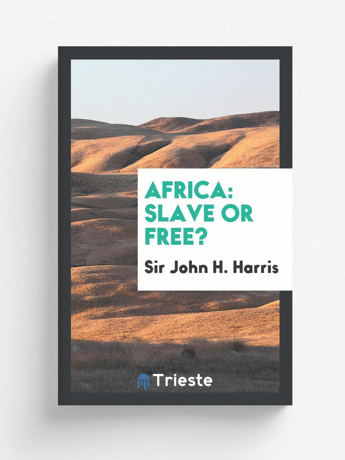 Africa. slave or free?