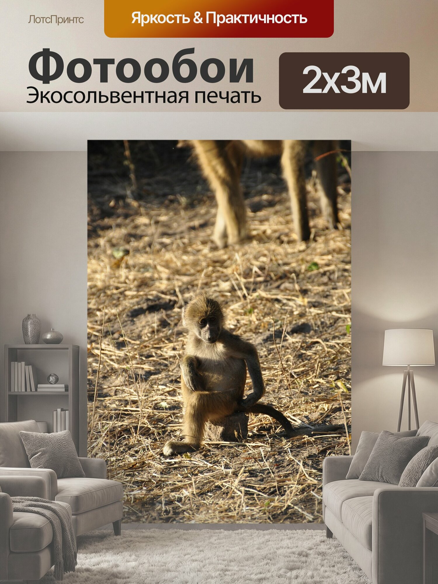 Фотообои "Бабуин, обезьяна, детеныш" 200x300 см. экосольвентная печать