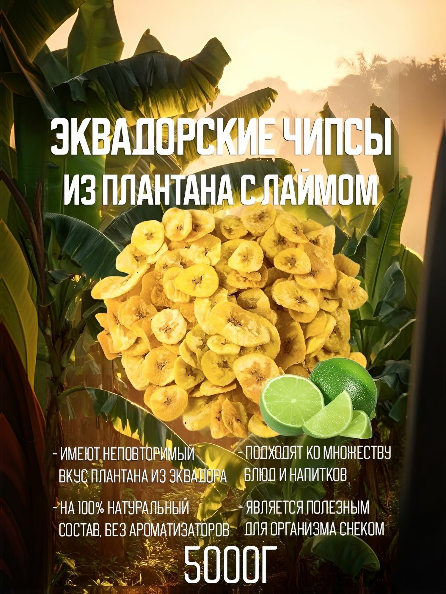 Чипсы овощные из Плантана с лаймом 5000г