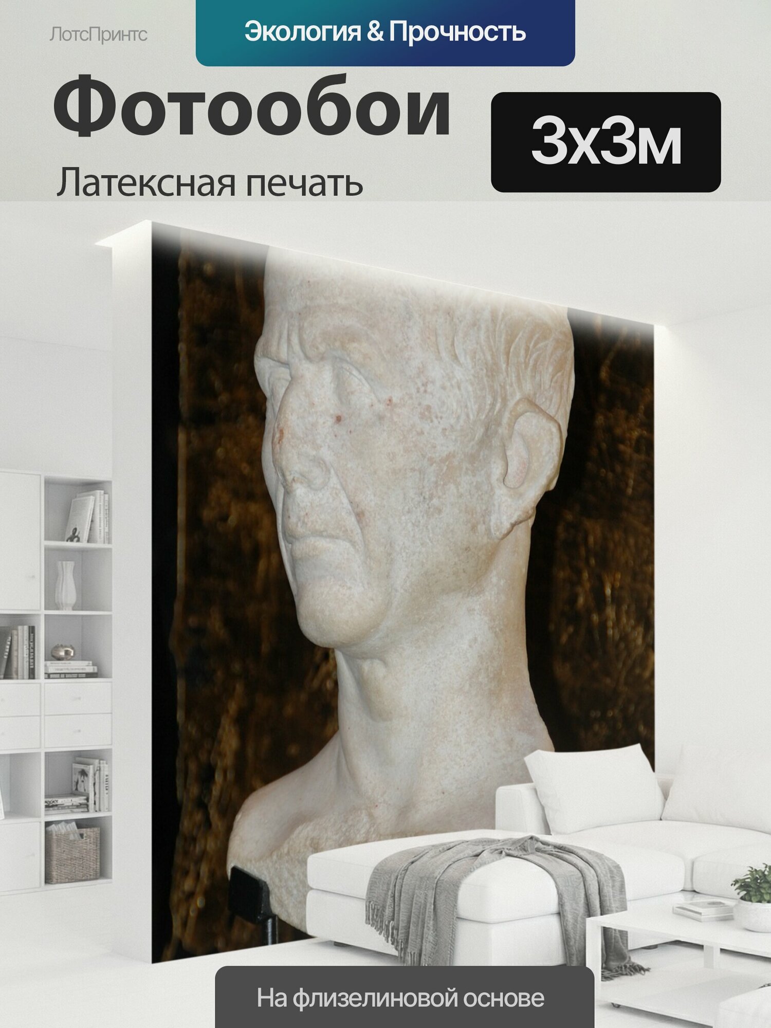 Фотообои моющиеся ударопрочные "Цезарь, бюст, арль" 300x300 см. латексная печать