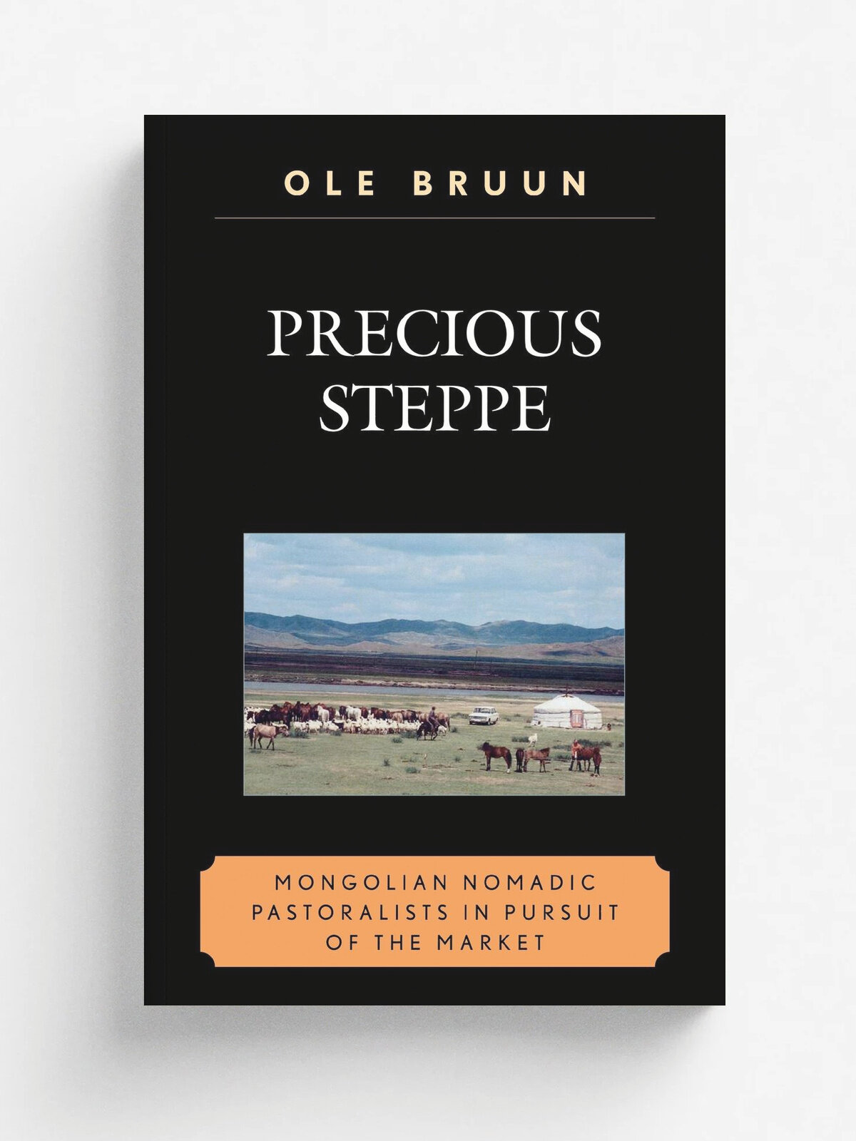 Precious Steppe. Mongolian Nomadic Pastoralists in Pursuit of the Market