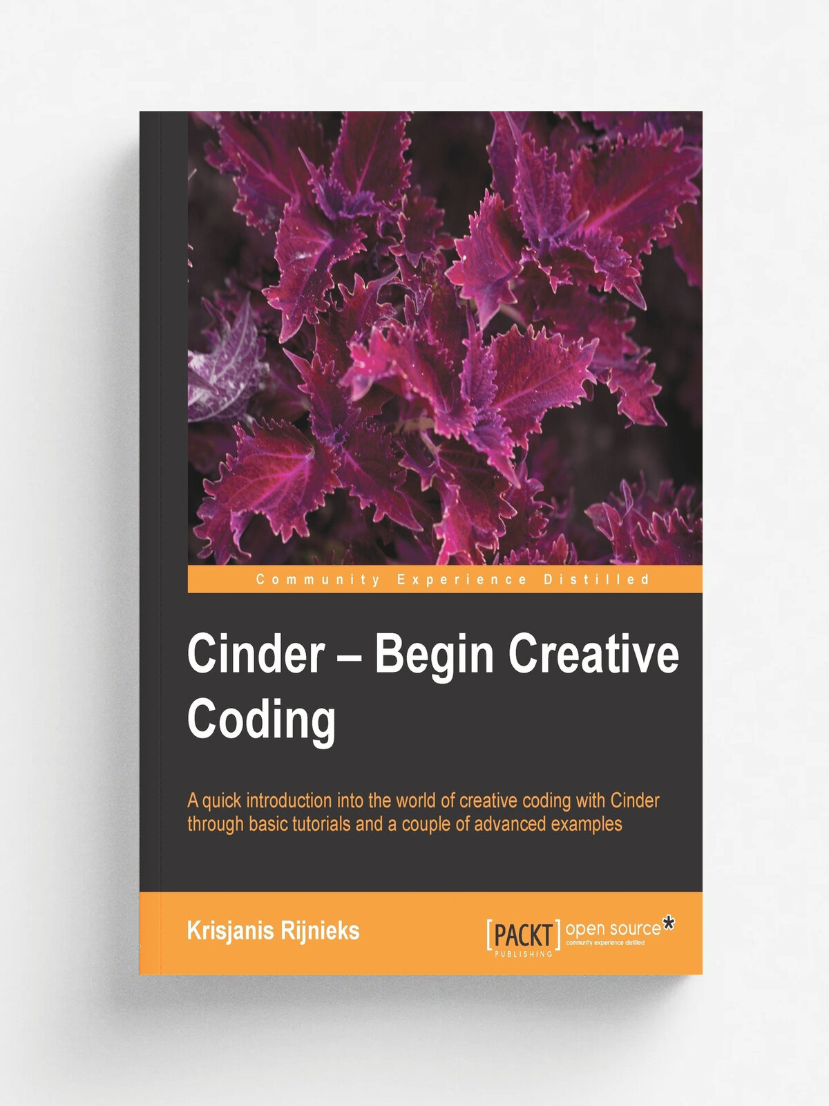 Cinder. Begin Creative Coding