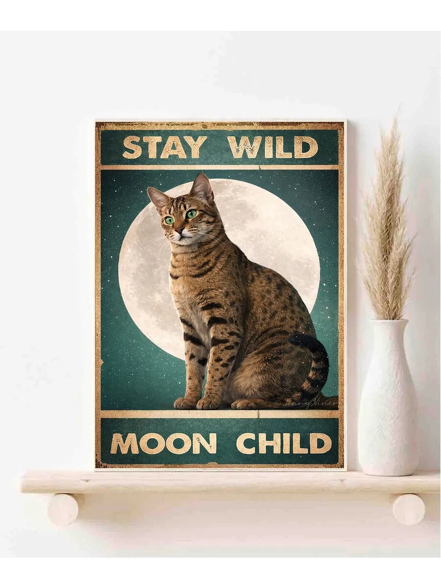 Чаузи, Stay Wild Moon Child, Плакат 30x42см