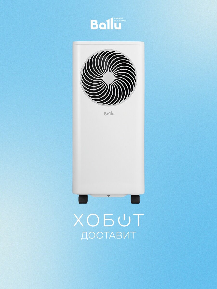 Кондиционер Ballu BPAC-09 OR/N6 Orbis