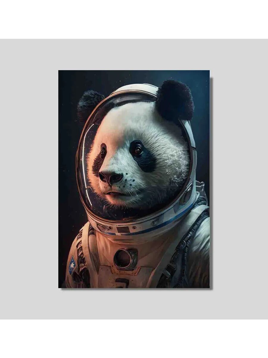 Гигантская панда-космонавт 2, Плакат 30x42см