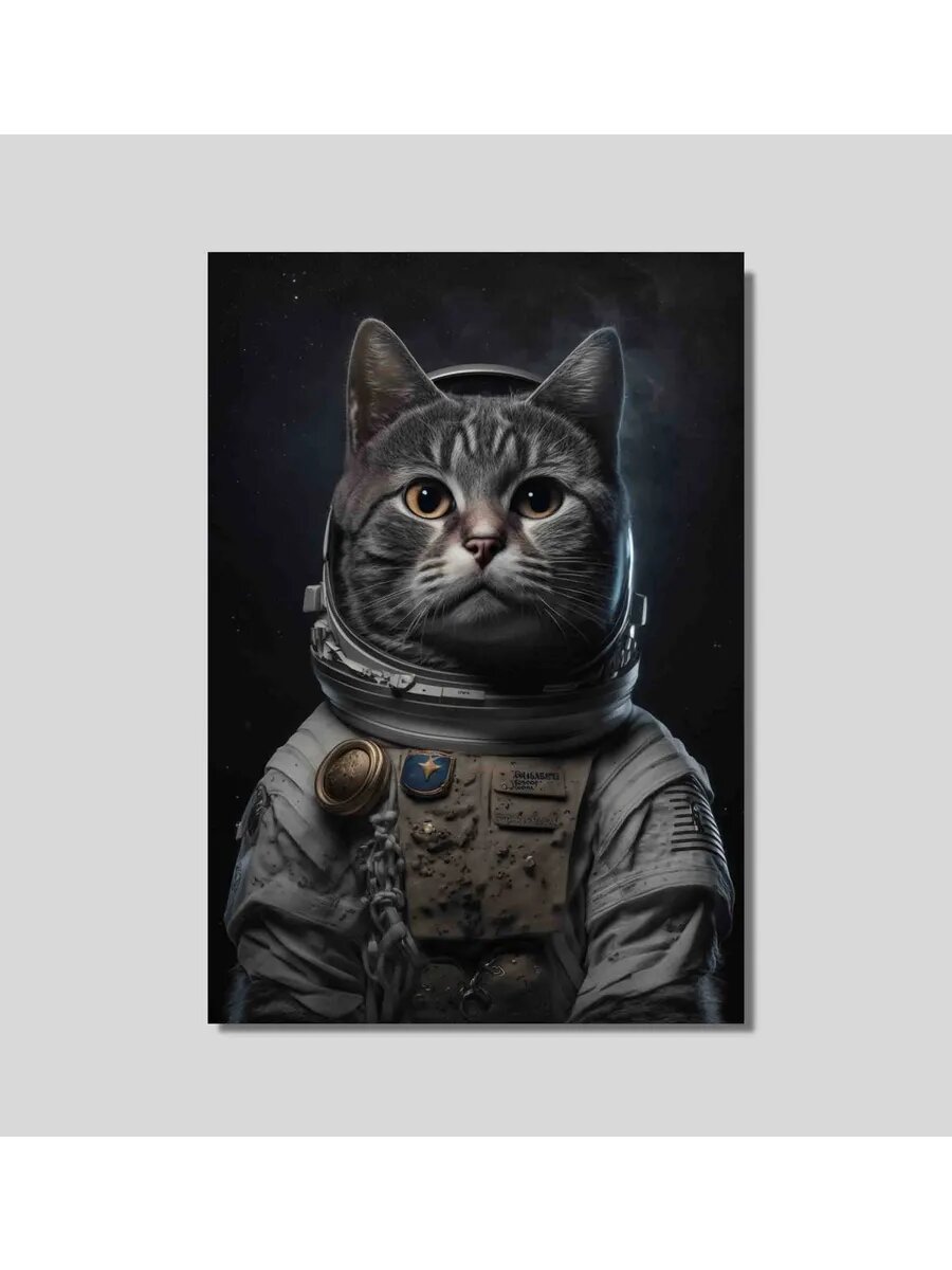Американская жесткошерстная кошка-космонавт 2, Плакат 30x42