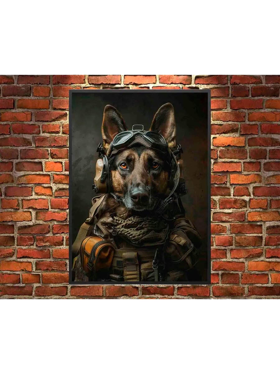 Австралийский пастуший пес-солдат 3, Плакат 30x42см