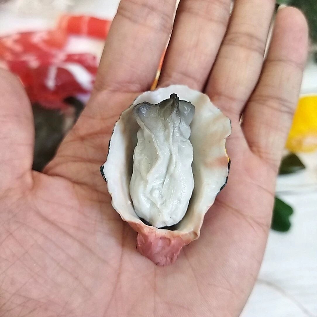 Фотографические аксессуары: Модель устрицы с оригинальным вкусом 6x4 см, реалистичное украшение
