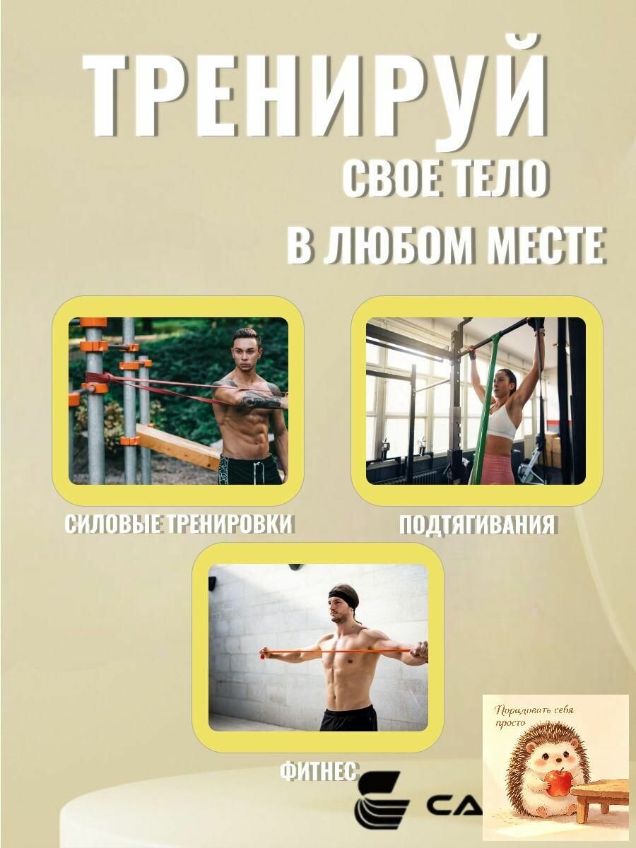 Эспандер для фитнеса — фото 1