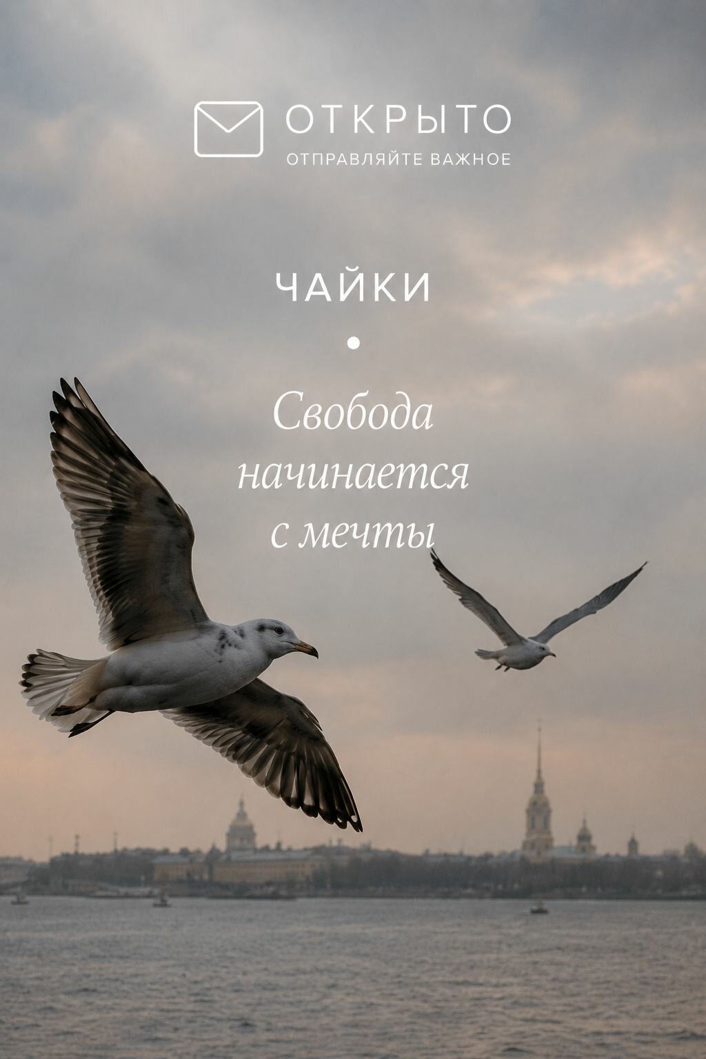 Открытка "Чайки" "Открыто - отправляйте важное"