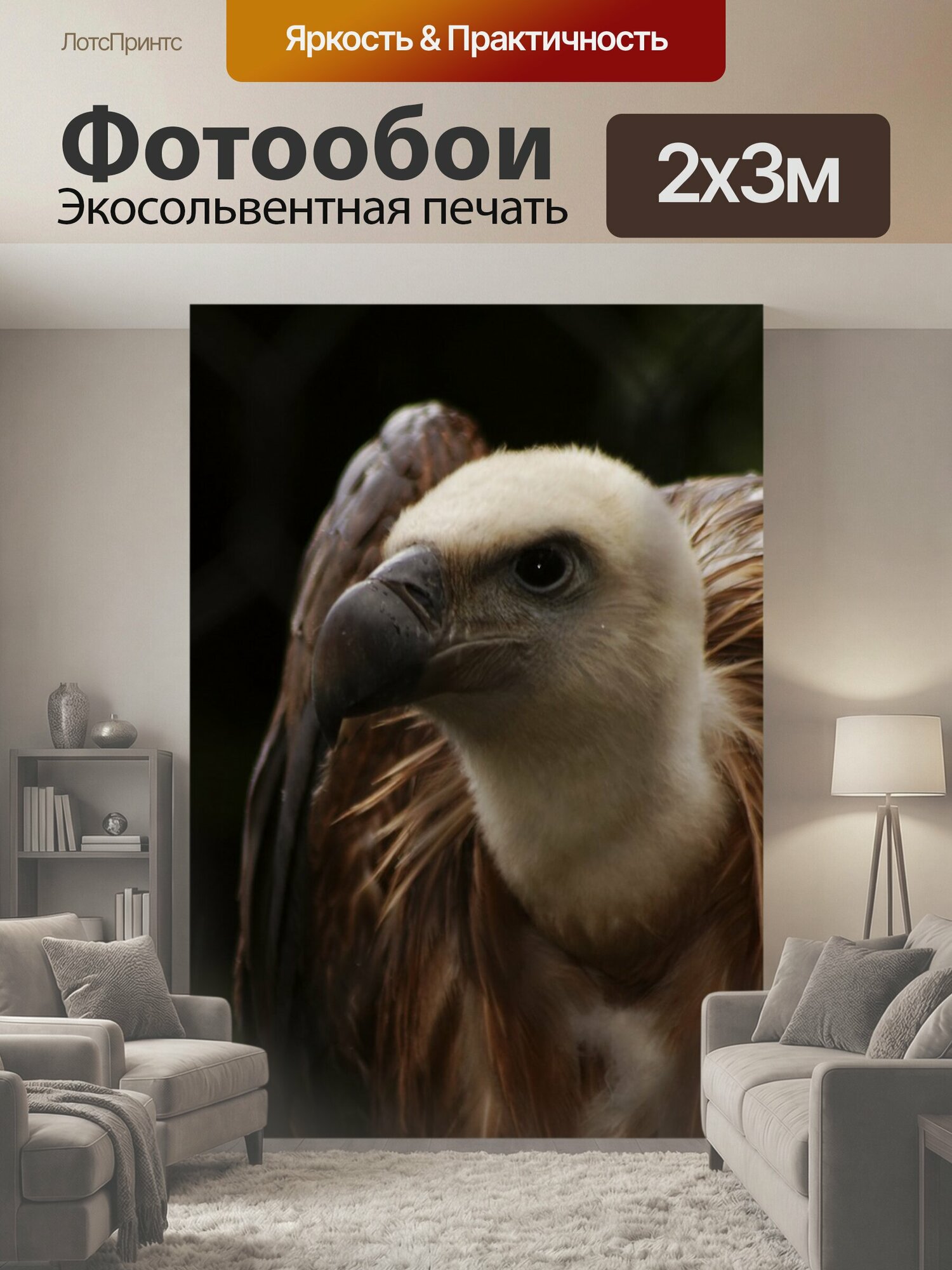 Фотообои "Стервятник, кондор, животное" 200x300 см. экосольвентная печать