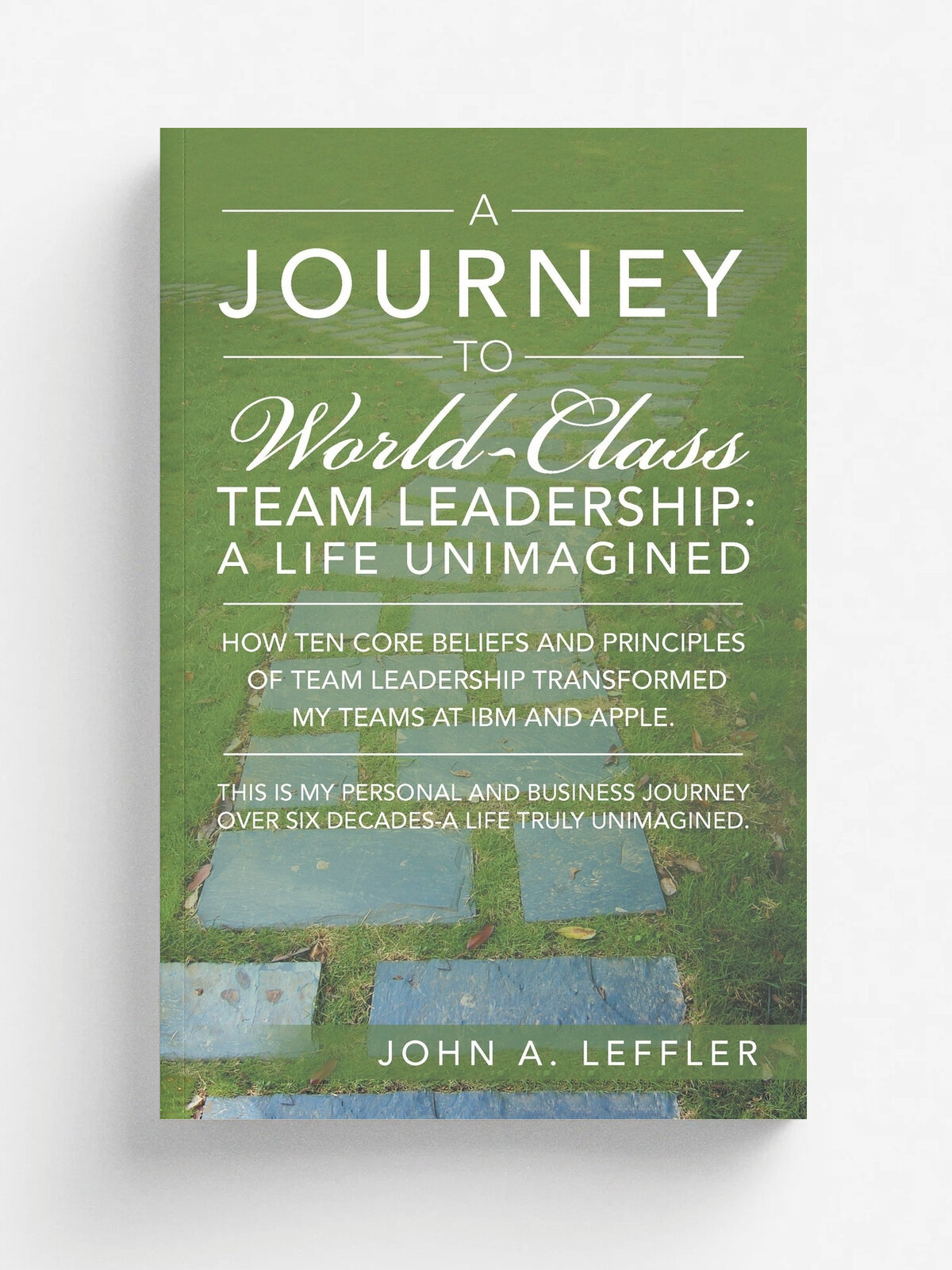 A Journey to World-Class Team Leadership. A Life Unimagined