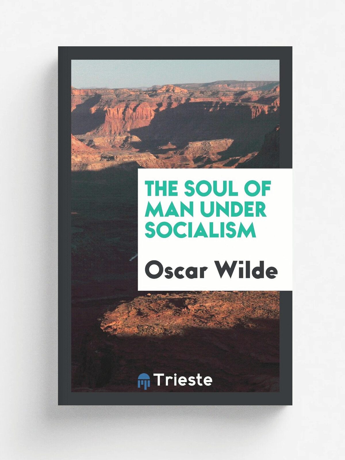 The Soul of Man Under Socialism