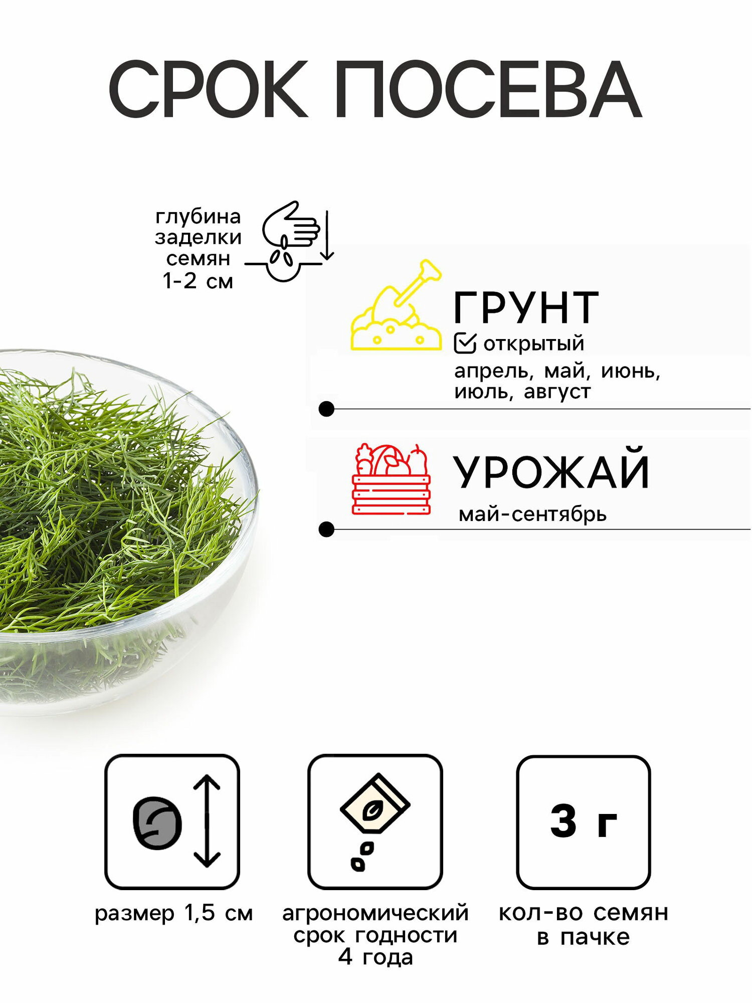 Семена Укроп "Исполин", 3 г, вид: простые семена, урожай: август - сентябрь, 5 шт. — фото 1