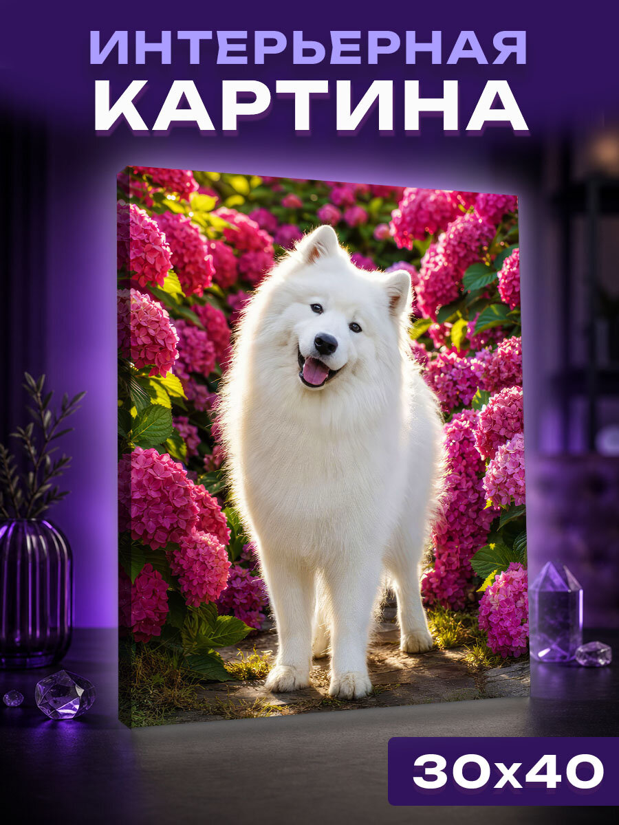 Интерьерная картина Белоснежный самоед в розовых гортензиях