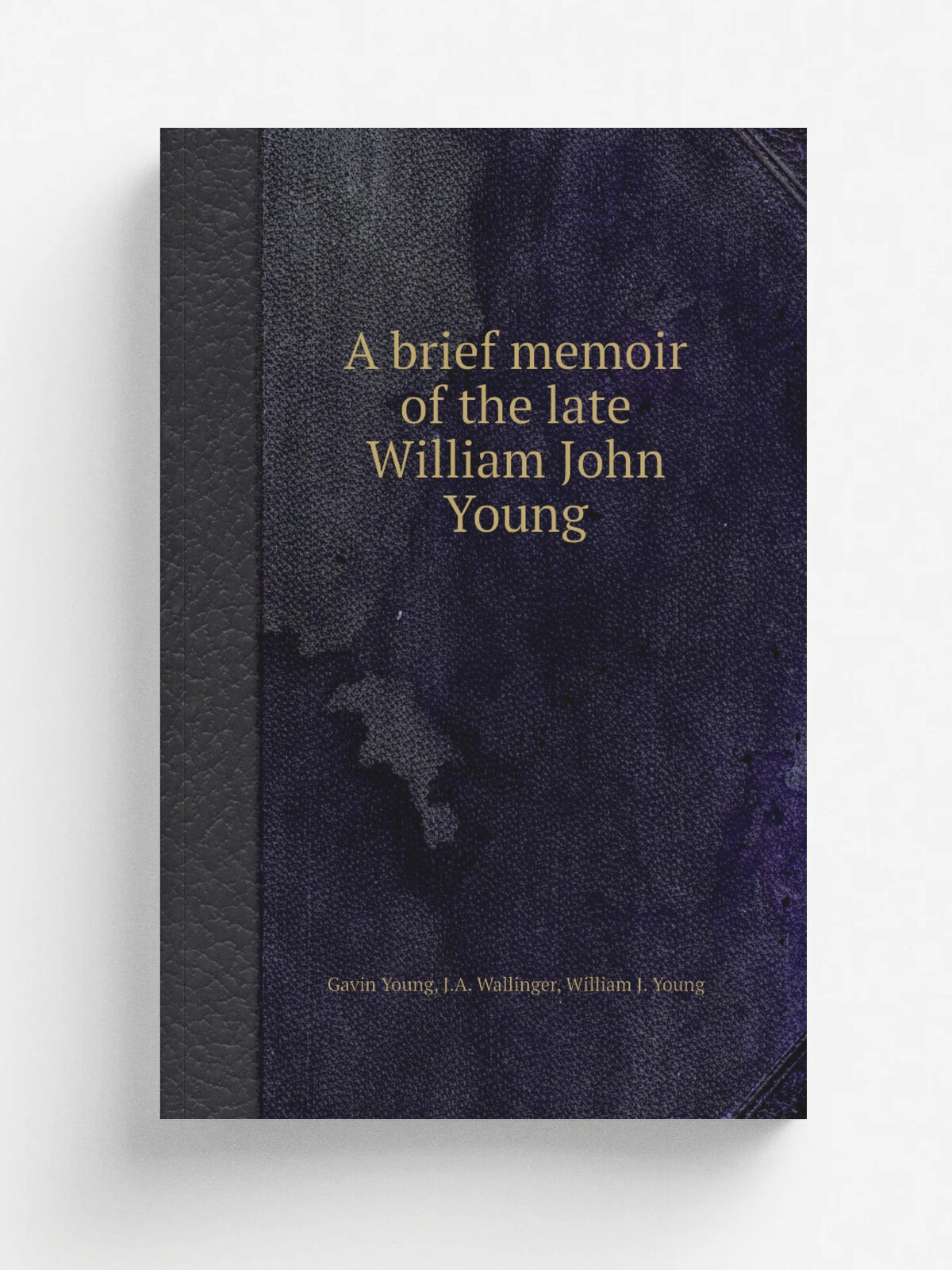 A brief memoir of the late William John Young