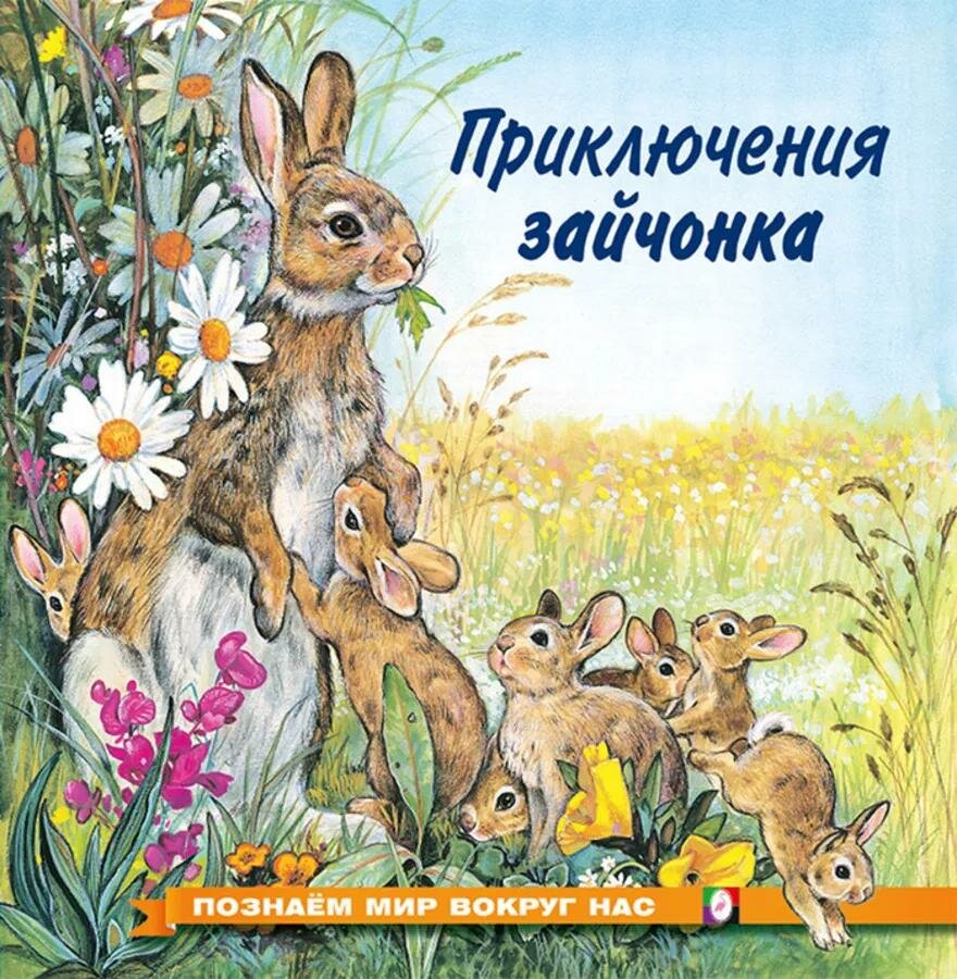 Приключения зайчонка (0+), Фламинго, 978-5-7833-3642-3