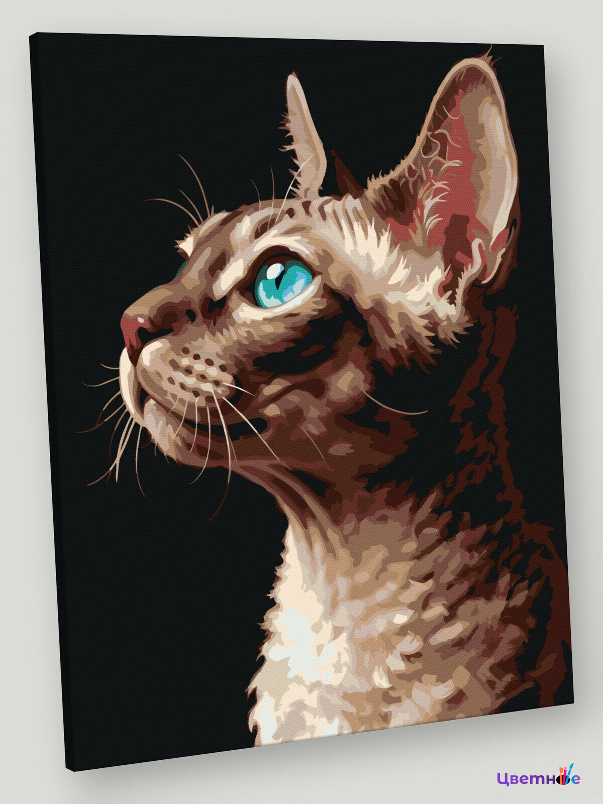 Картина по номерам на холсте с подрамником 40x50 "Кошки: Котенок Девон рекс"