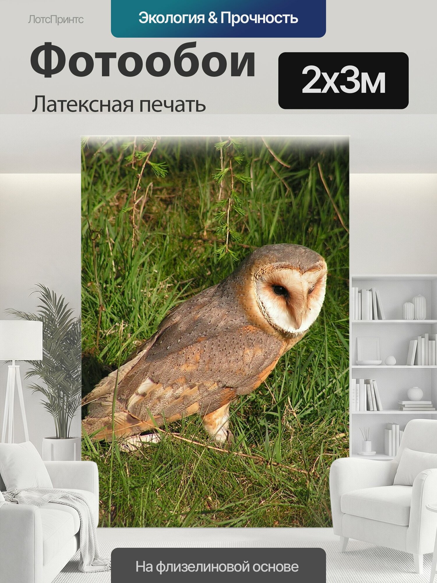 Фотообои моющиеся ударопрочные "Сипуха, эти альбомы, сова" 200x300 см. латексная печать