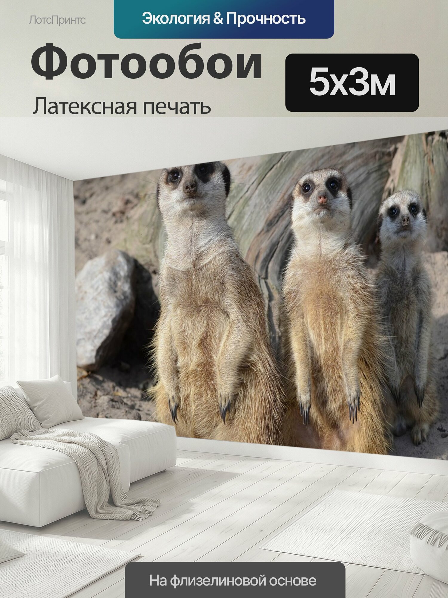 Фотообои моющиеся ударопрочные "Сурикат, зоопарк, милый" 500x300 см. латексная печать