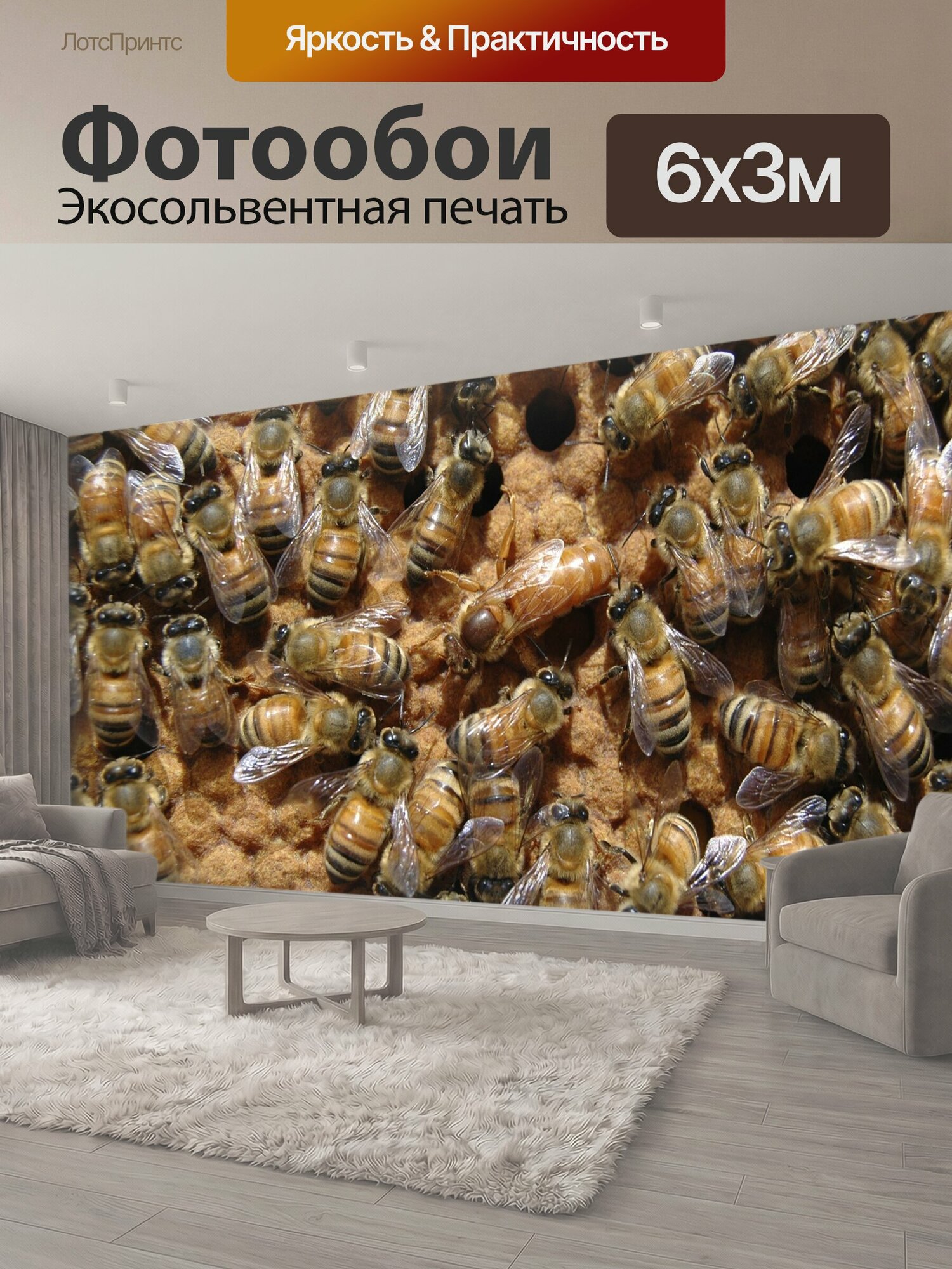 Фотообои "Пчелиная матка, улей, пчела" 600x300 см. экосольвентная печать
