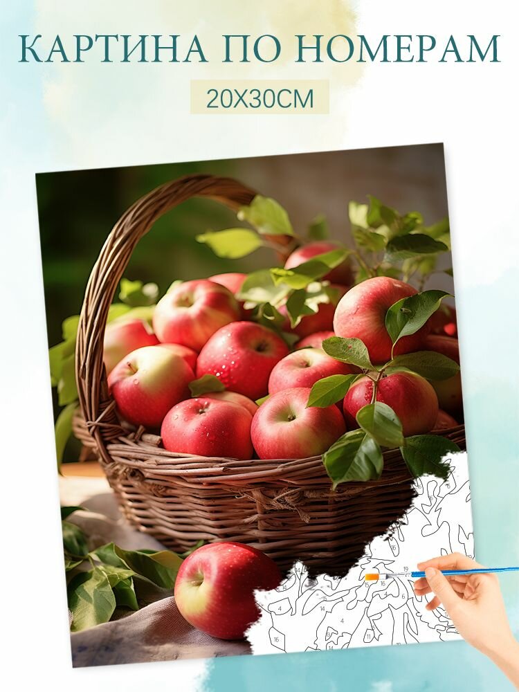 Картина по номерам на холсте с без подрамником 20х30 / "Корзина с яблоками и фруктами 20 на 30 корзина яблоки фрукты