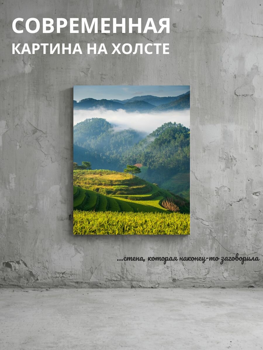 Картина на холсте Рисовые террасы 50x70 см