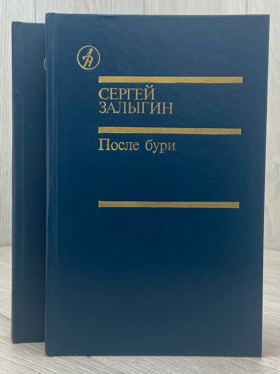 После бури (Комплект из 2 книг)
