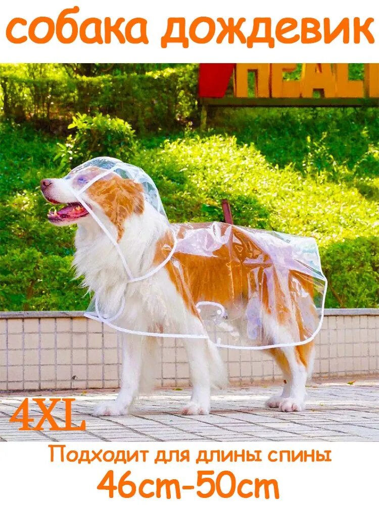 Прозрачный дождевик для собак 4XL, EVA, унисекс, длина спины 46-50см