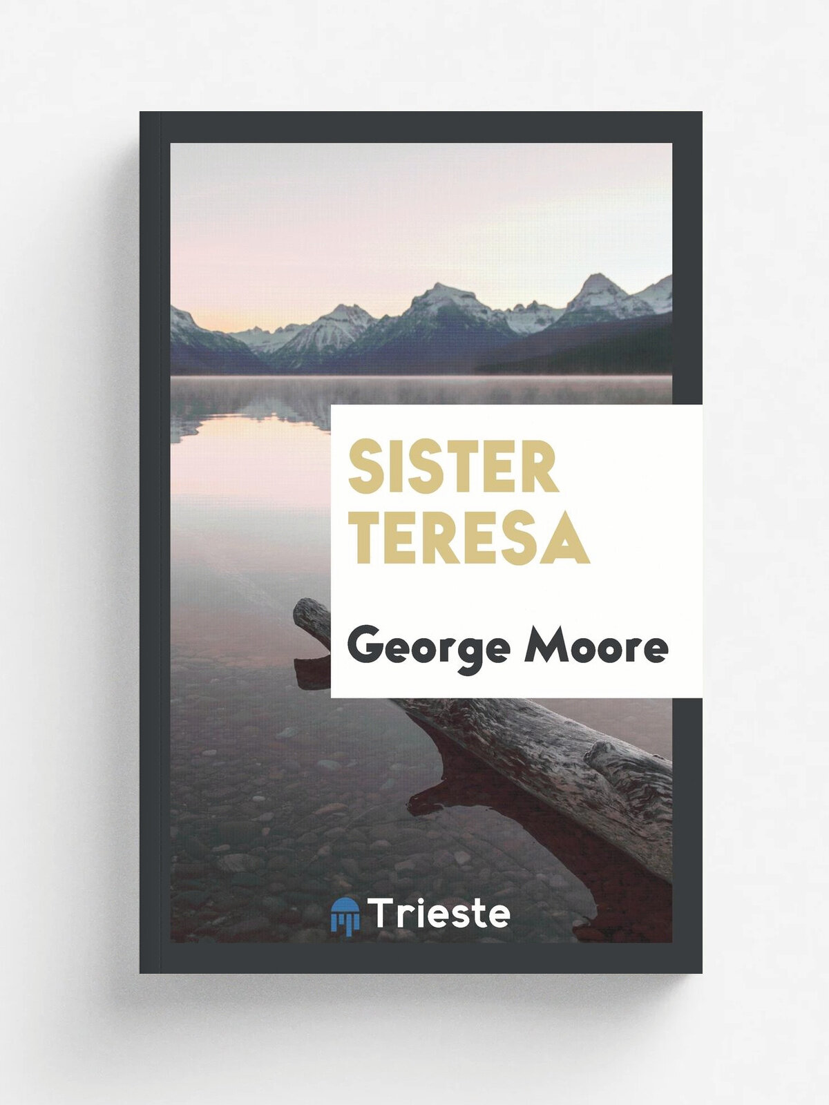 Sister Teresa
