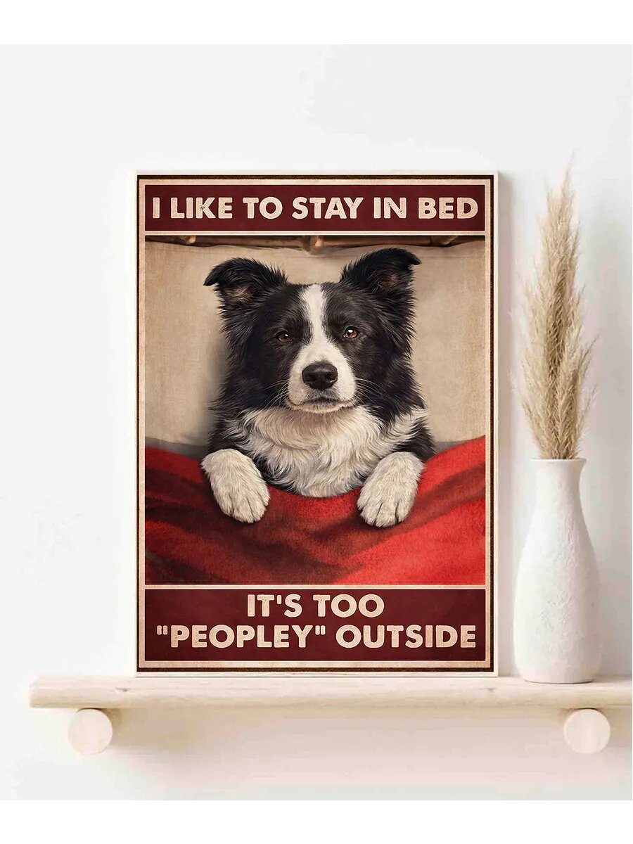 Бордер-колли, Stay In Bed, Плакат 30x42см