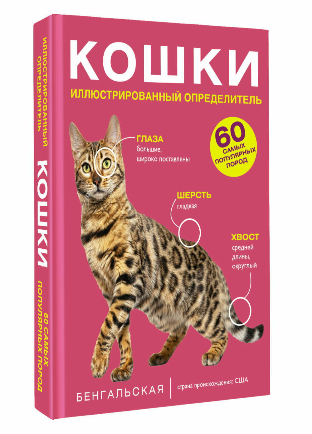 Кошки. 60 самых популярных пород. Иллюстрированный определитель Смирнов Д. С.