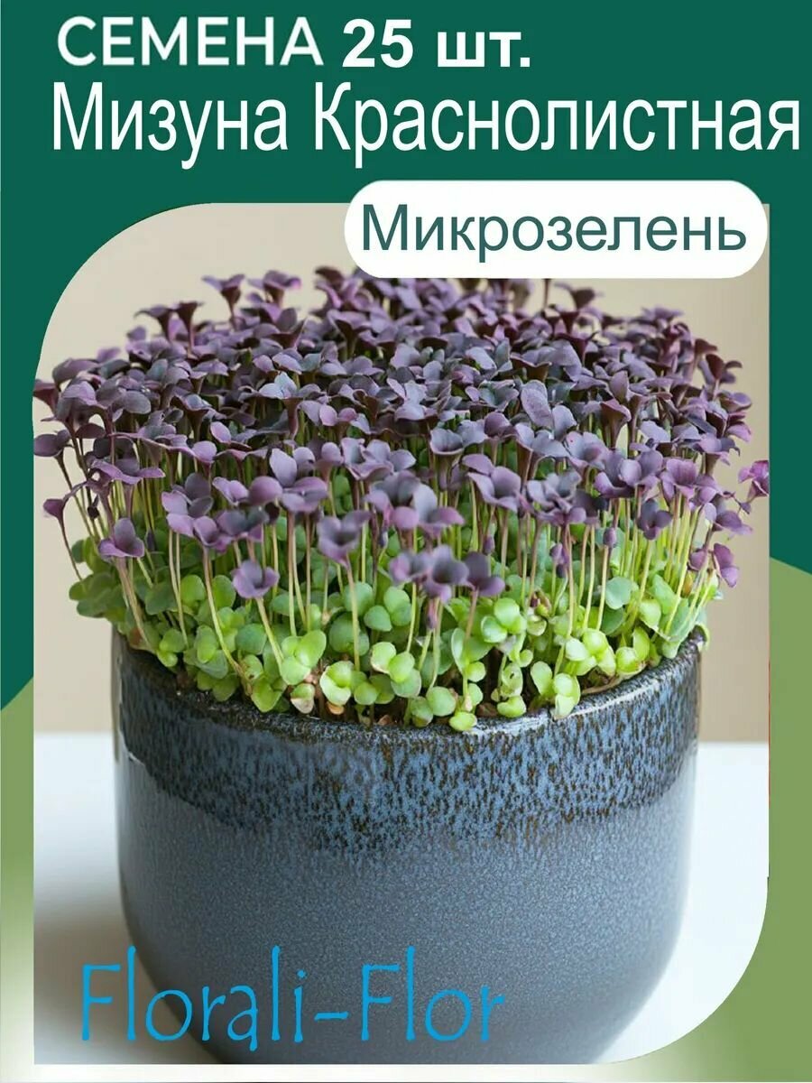 Семена микрозелень Мизуна
